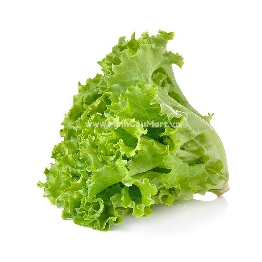 Rau Xà Lách - Minh Cầu Mart - Siêu thị trong tầm tay